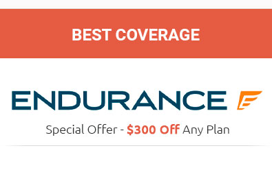 Vehicle Replacement Insurance - 2025, Dec 🚗